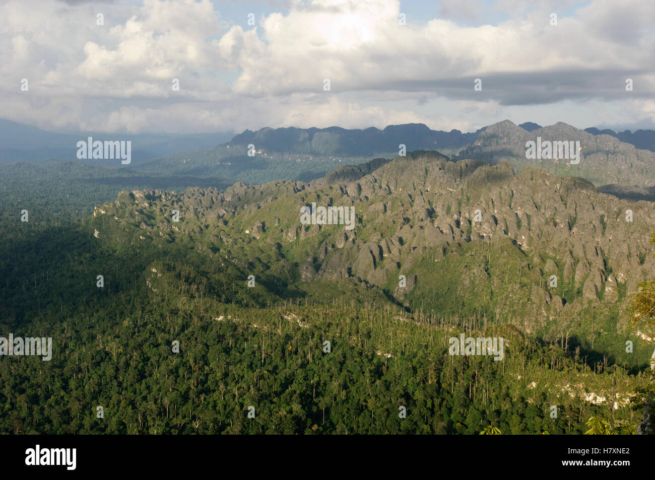 Eroded limestone formations, Gunung Buntung, Indonesia Stock Photo - Alamy