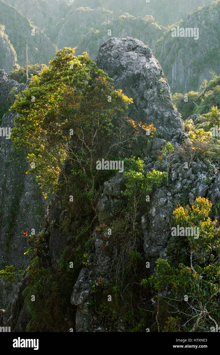 Eroded limestone formation, Gunung Buntung, Indonesia Stock Photo - Alamy