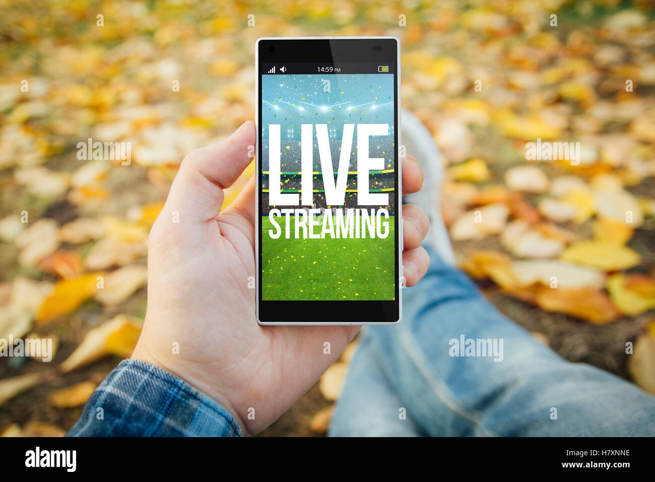 man in the park watching live streaming sports event online. All screen ...