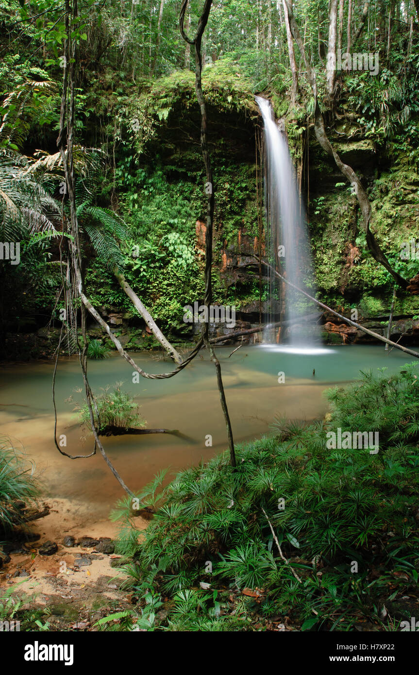 Waterfall cascading over layered bed of sandstone, Lambir Hills ...