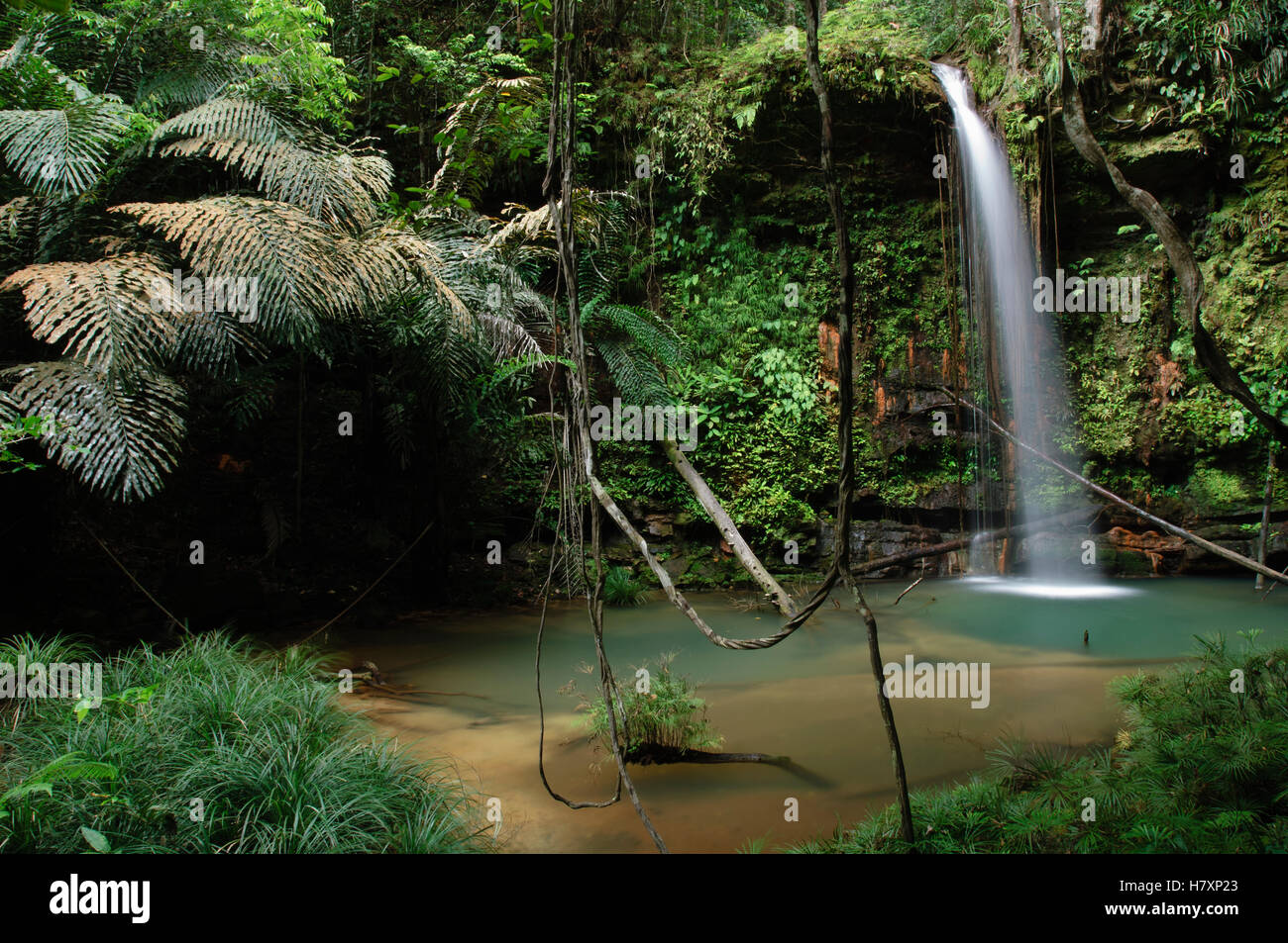 Waterfall cascading over layered bed of sandstone, Lambir Hills ...