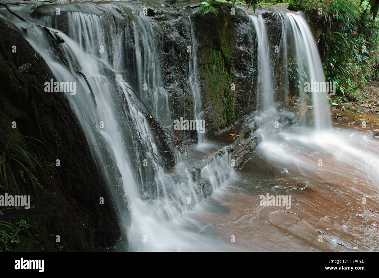 Waterfalls cascading over layered beds of sandstone, Lambir Hills ...