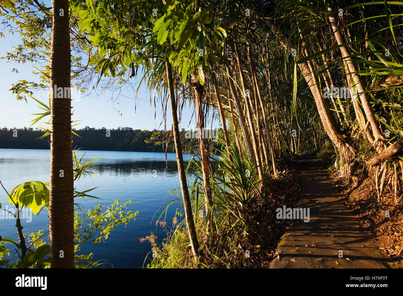 Path along Lake Eacham, Crater Lakes National Park, Atherton Tableland ...