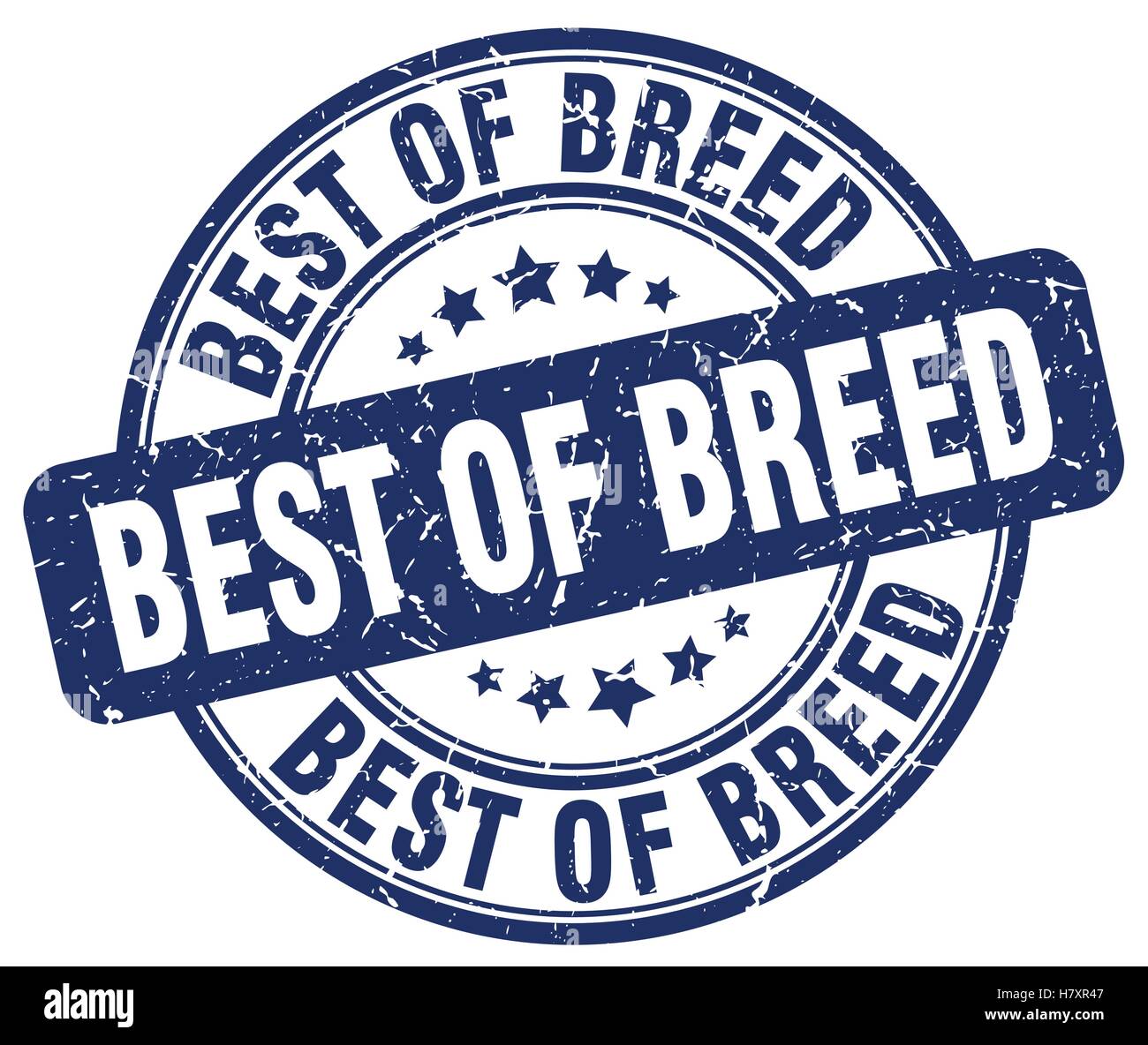 best of breed blue grunge stamp Stock Vector Image & Art - Alamy