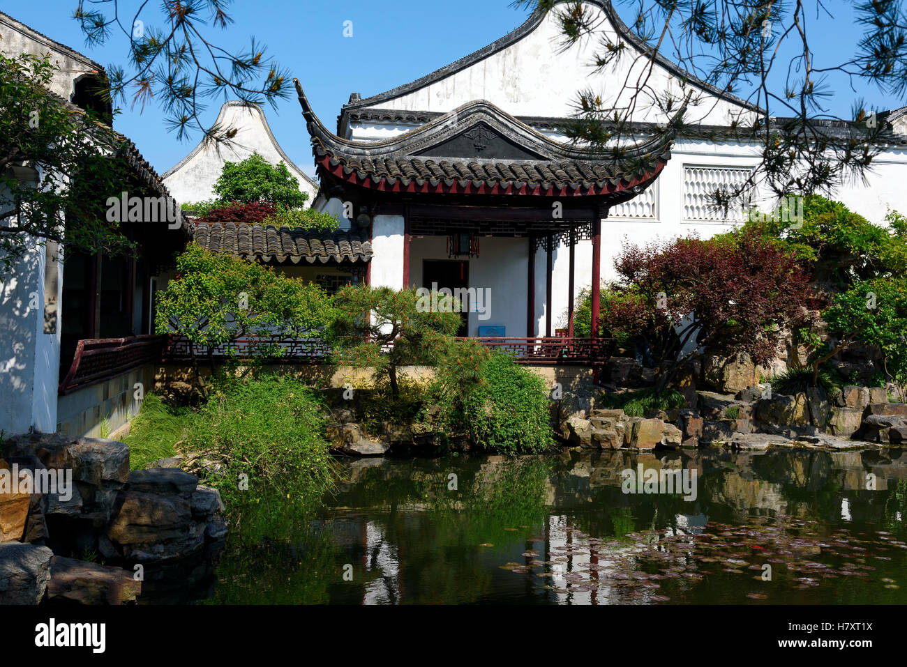 The Chinese traditional house in the public park at a small pond Stock ...