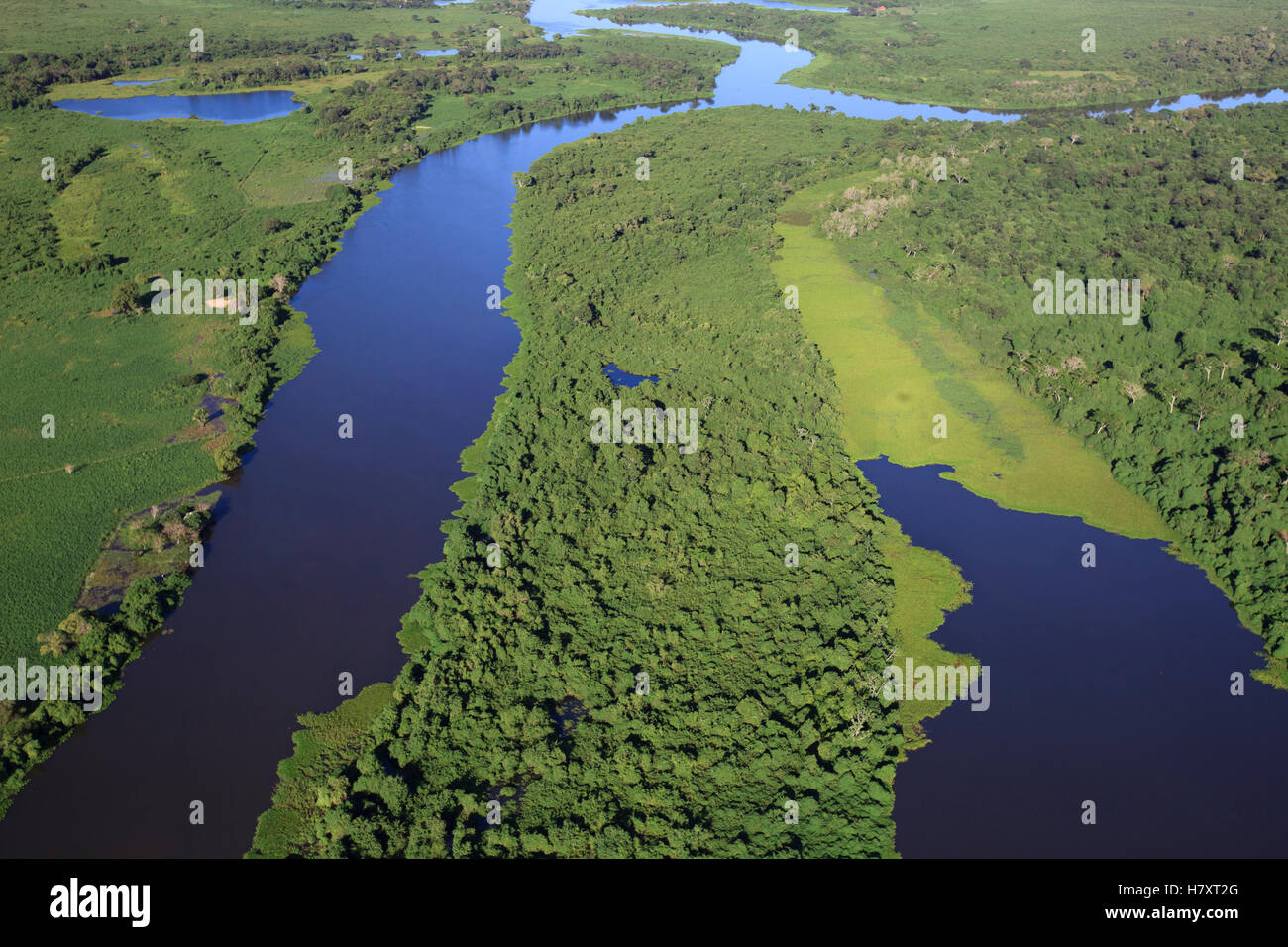 Pantanal in the rainy season, Brazil Stock Photo - Alamy