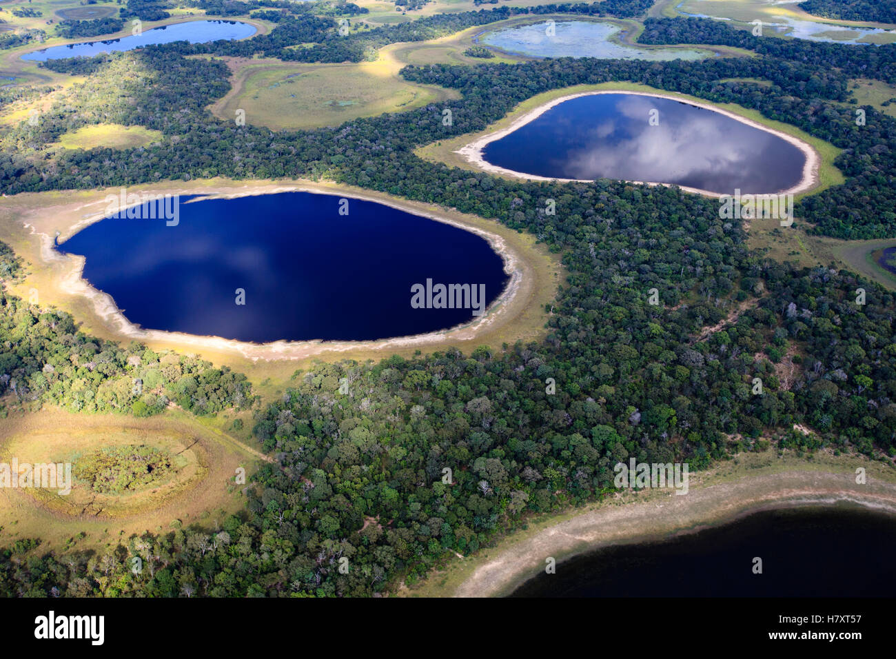 Saltwater lakes in southern Pantanal, Brazil Stock Photo - Alamy