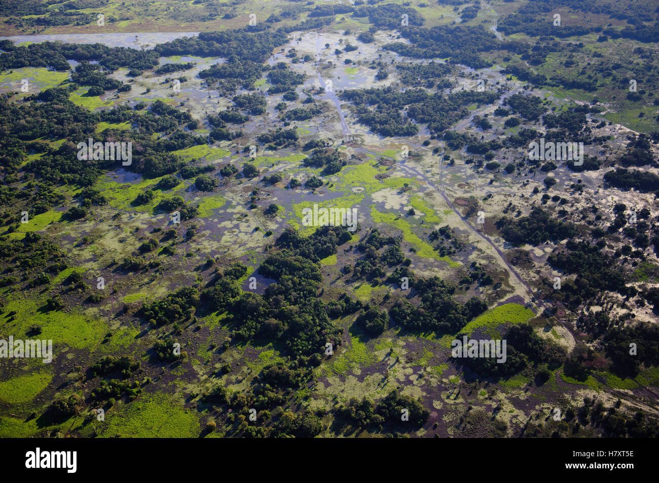 Pantanal in the rainy season, Brazil Stock Photo - Alamy