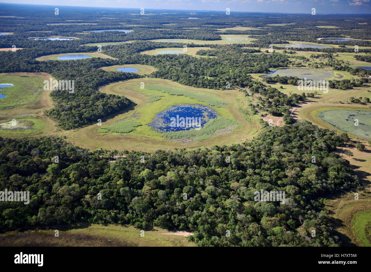 Saltwater lakes in southern Pantanal, Brazil Stock Photo - Alamy