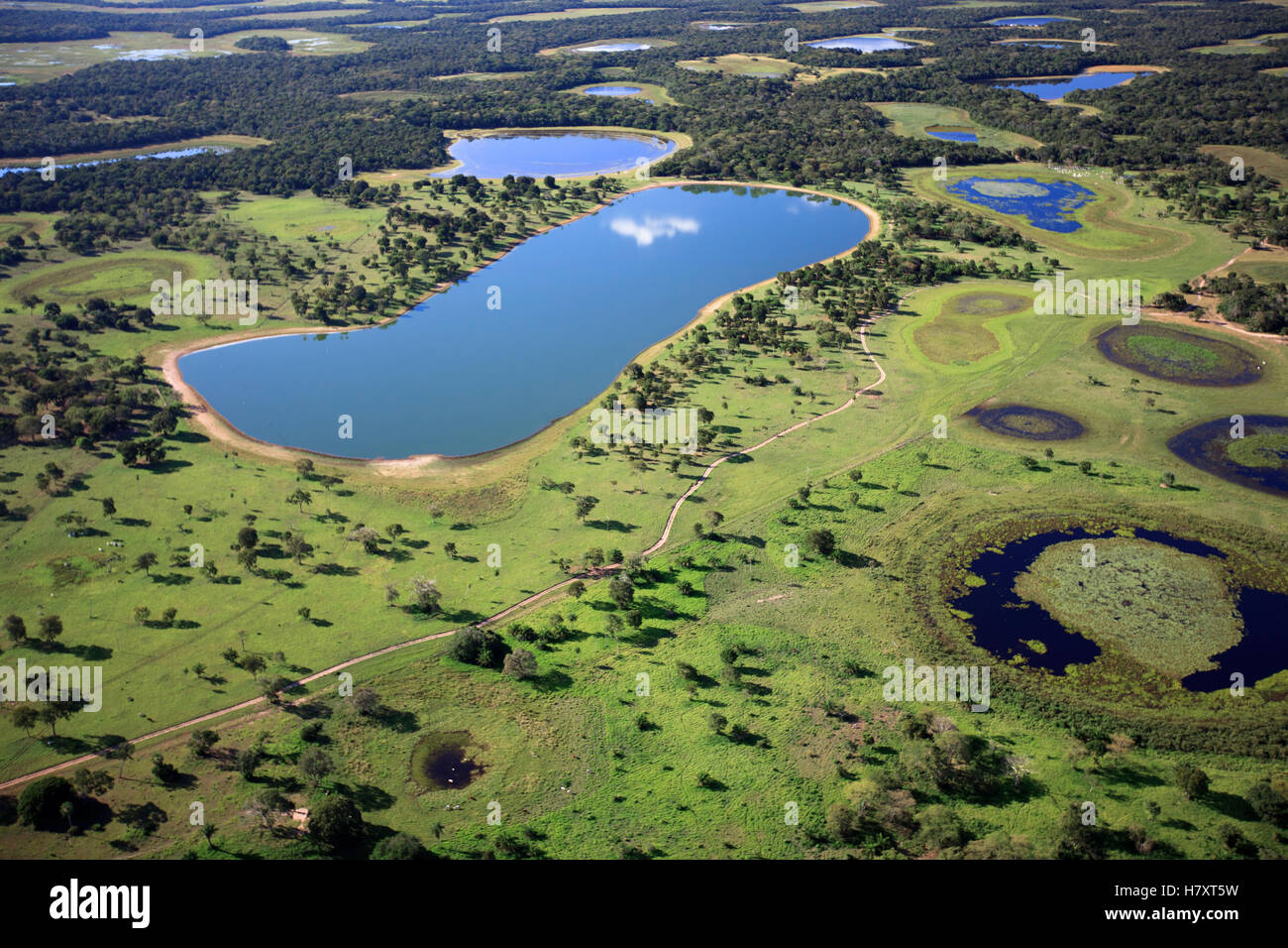 Saltwater lakes in southern Pantanal, Brazil Stock Photo - Alamy
