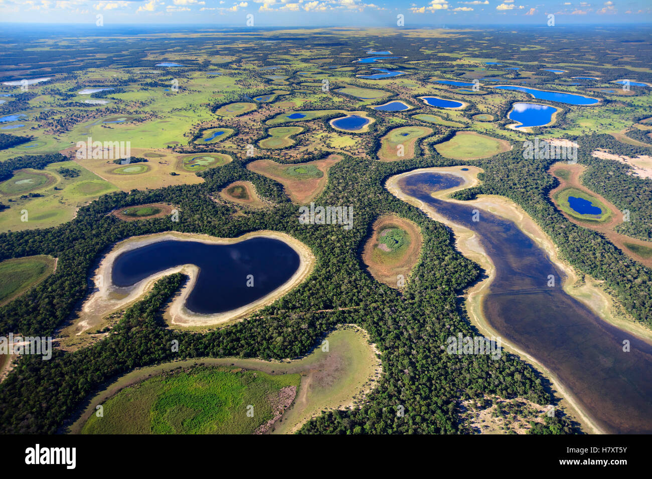 Saltwater lakes in southern Pantanal, Brazil Stock Photo - Alamy