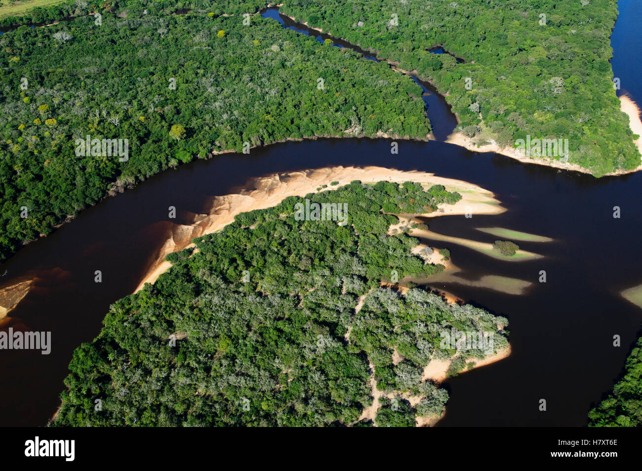 Rio Negro in dry season, Pantanal, Brazil Stock Photo - Alamy