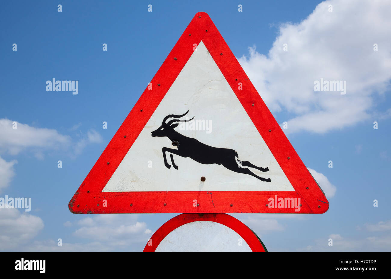 Animal crossing road sign showing leaping antelope, Kwazulu Natal ...