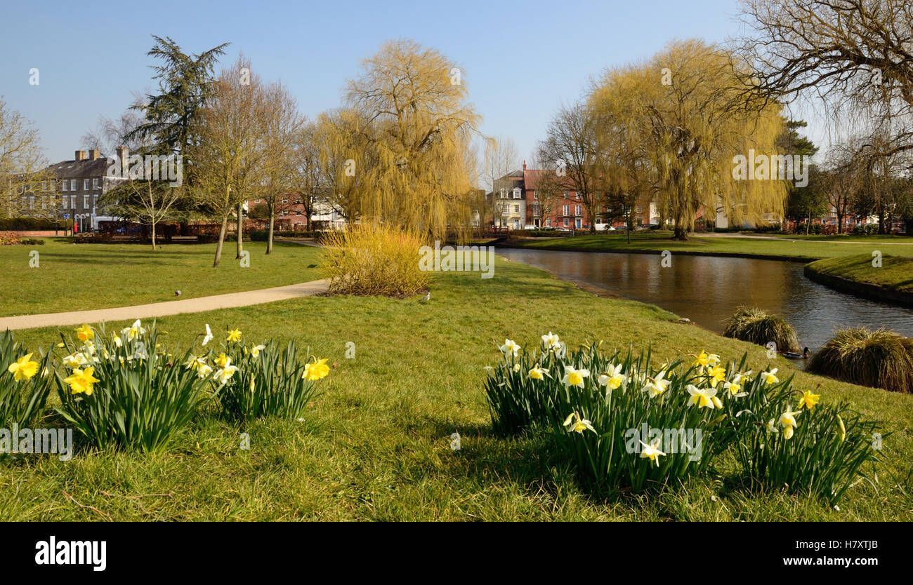 A channel of the river Avon flowing through Queen Elizabeth Gardens in ...