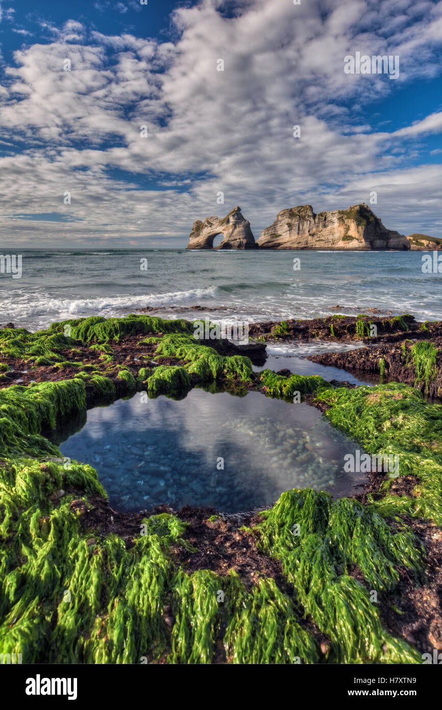 Tidepool in seaweed covered rocks, Archway Islands behind, Wharariki ...