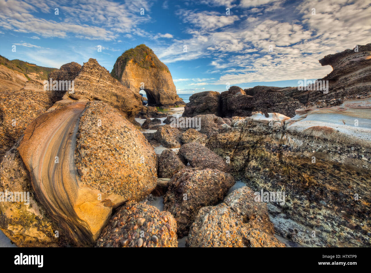 Sedimentary rock with pebbles embedded in layers, Wharariki Beach near Collingwood, Golden Bay ...