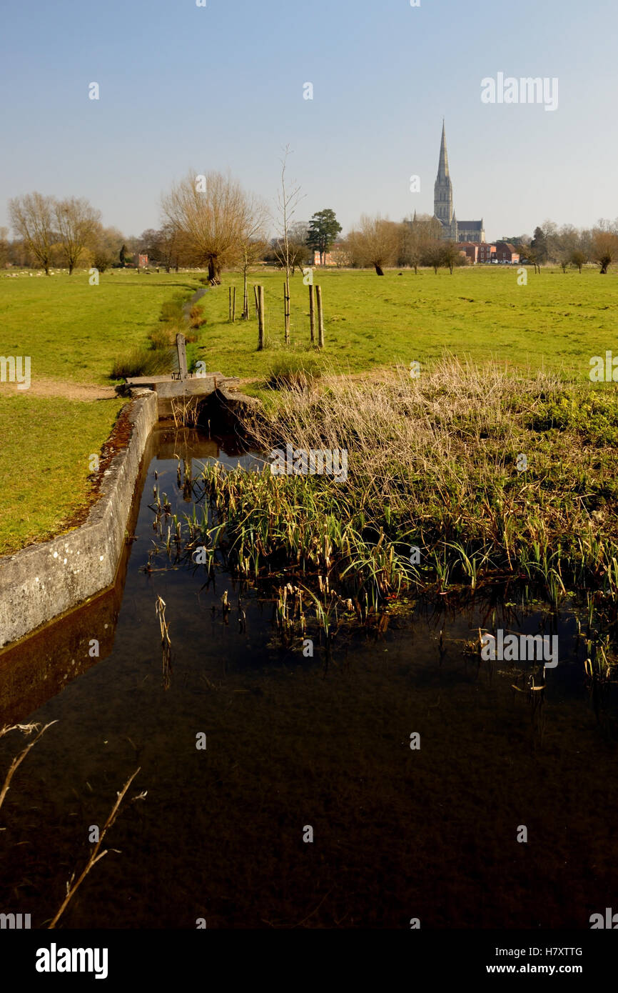 Harnham water meadows salisbury hi-res stock photography and images - Alamy