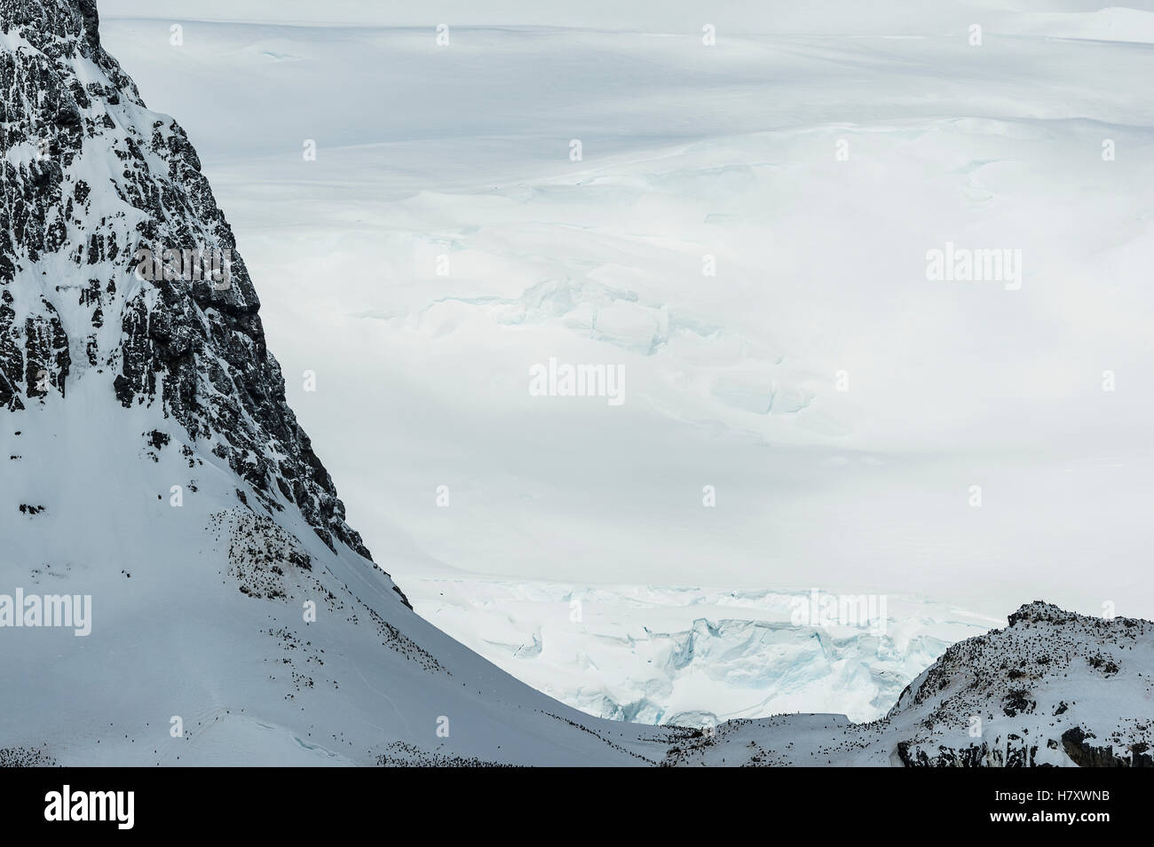 Snow covered mountain range, Laarson inlet; Antarctica Stock Photo - Alamy