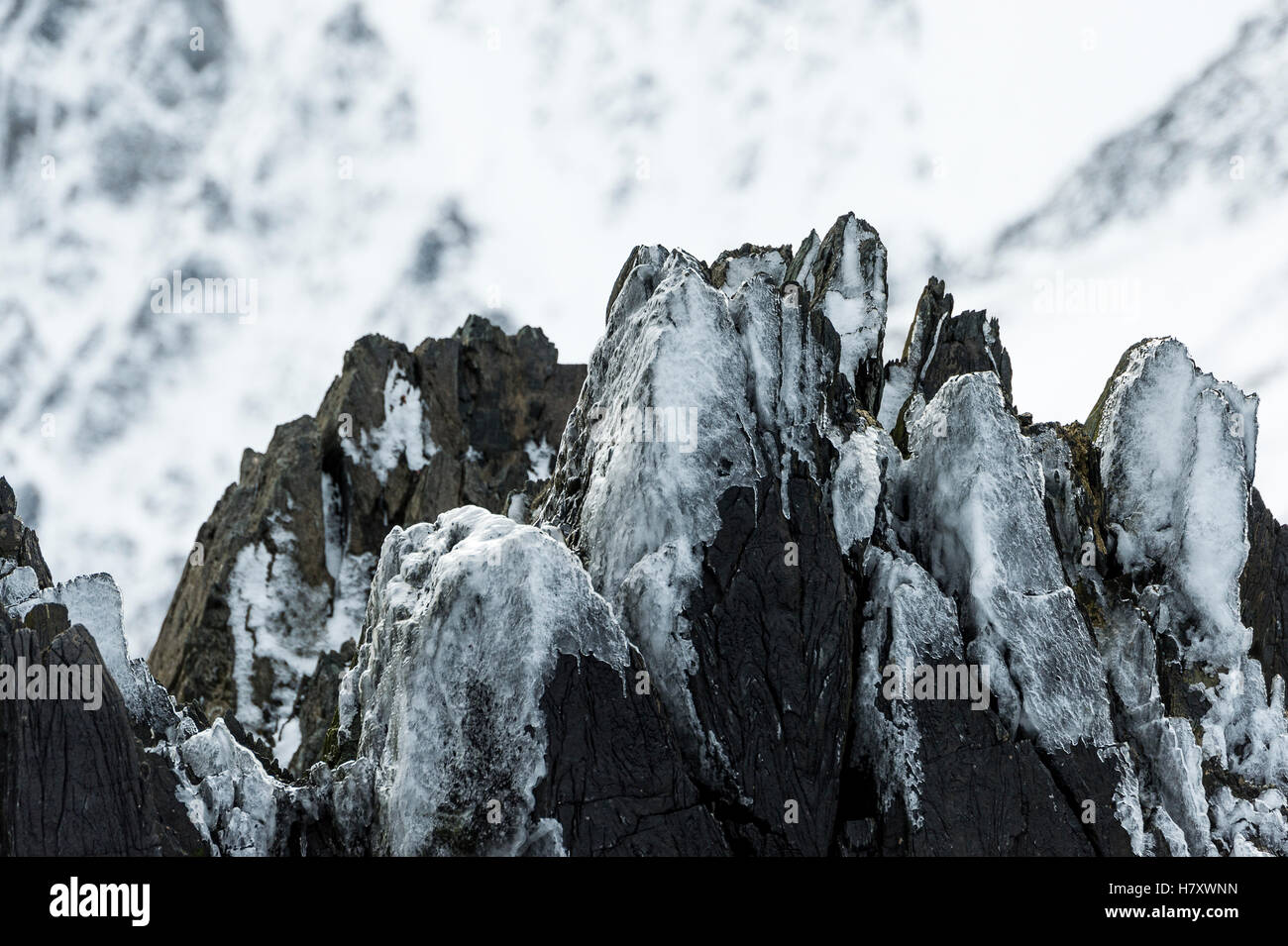 Icy rocks; Elephant Island, South Shetland Islands, Antarctica Stock ...