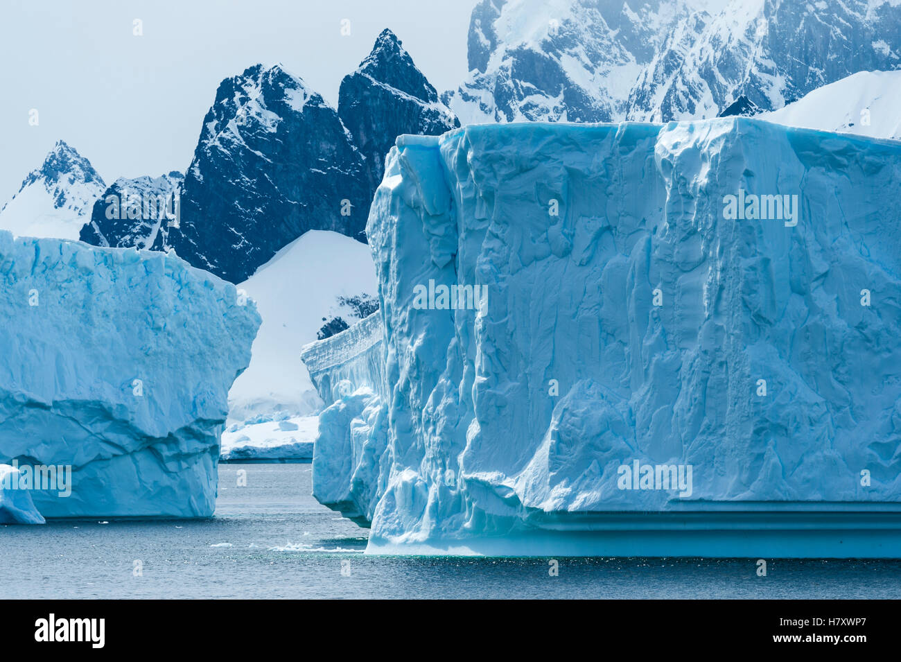 Antarctic icescape; Antarctica Stock Photo - Alamy