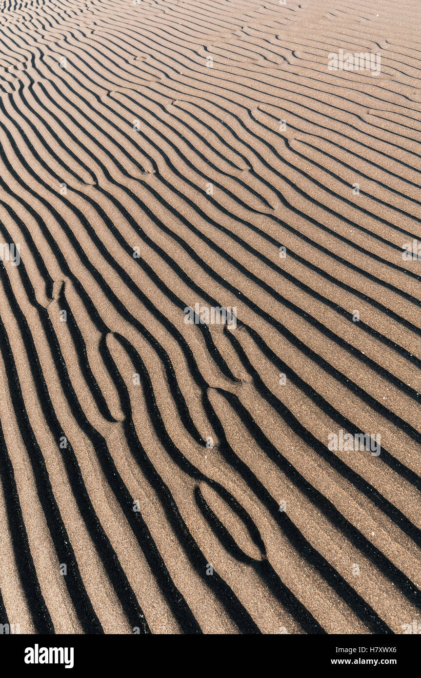 Ripples in the sand Stock Photo - Alamy