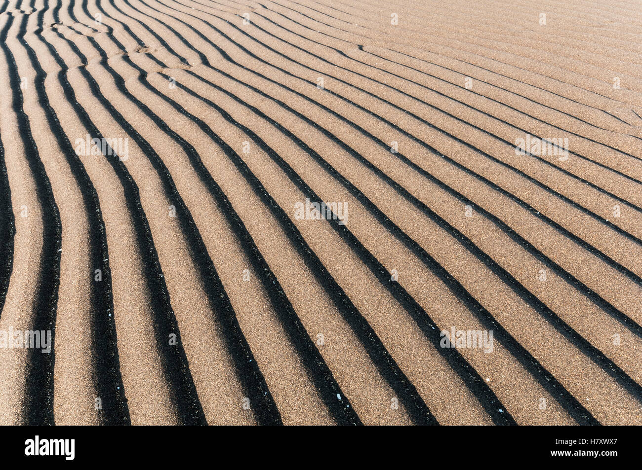 Ripples in the sand Stock Photo - Alamy