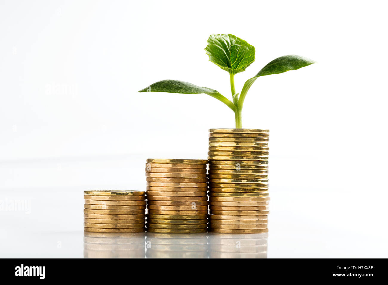 Close up of a row of stacked coins (Loonies) on a white background ...