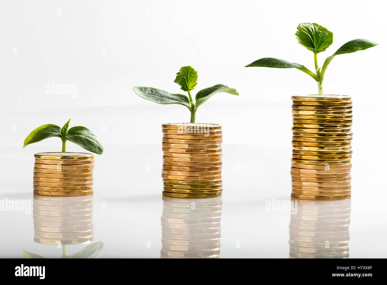 Close up of a row of stacked coins (Loonies) on a white background ...