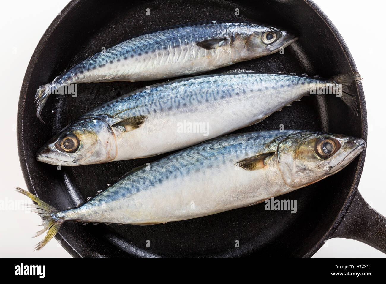 Three whole mackerel fish in a cast iron skillet and a white background ...