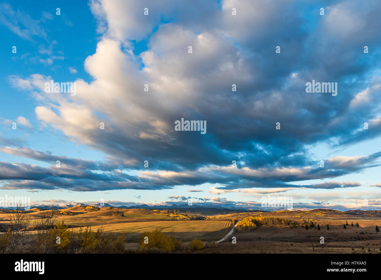 Longview Mountain High Resolution Stock Photography and Images - Alamy