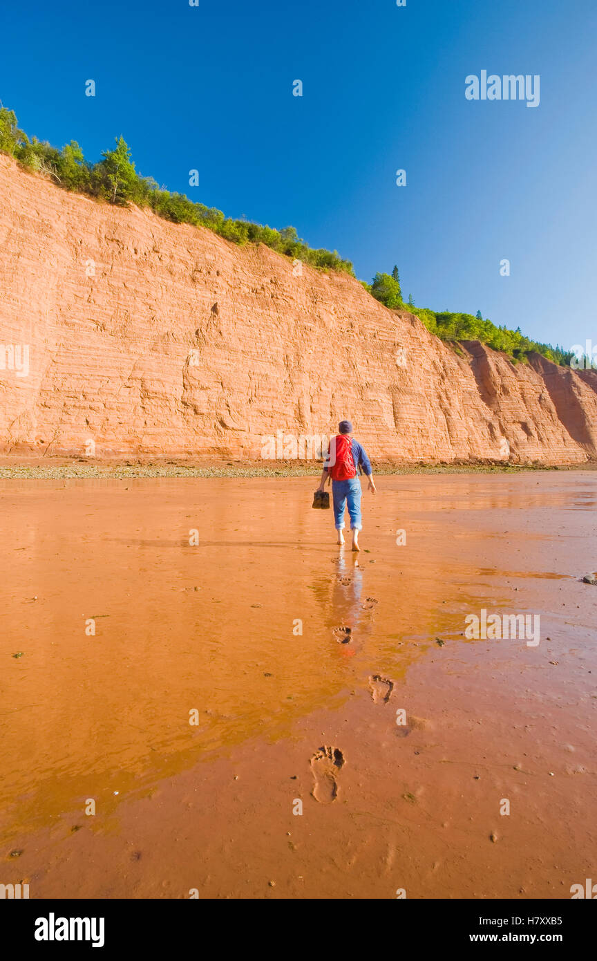 Hiker at low tide along sandstone cliffs, Cape Blomidon Provincial Park ...