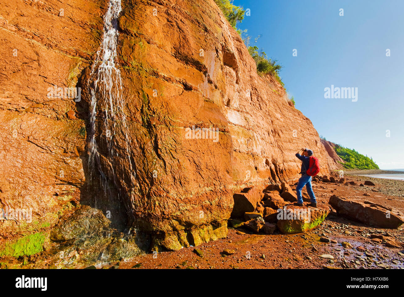Sandstone cliffs at low tide, Cape Blomidon Provincial Park in the ...