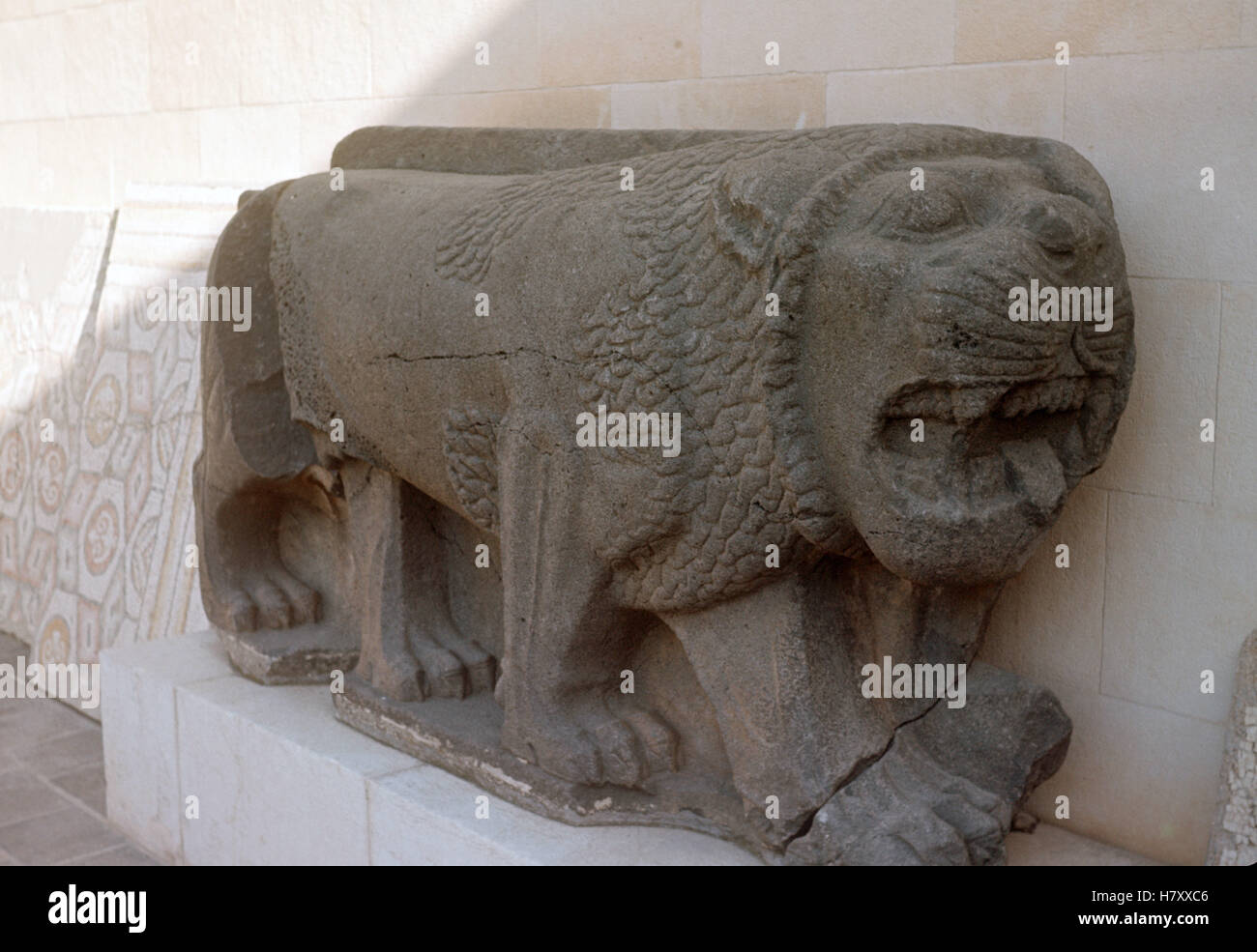 View of a relief of a lion in the National Museum of Damascus in Syria ...