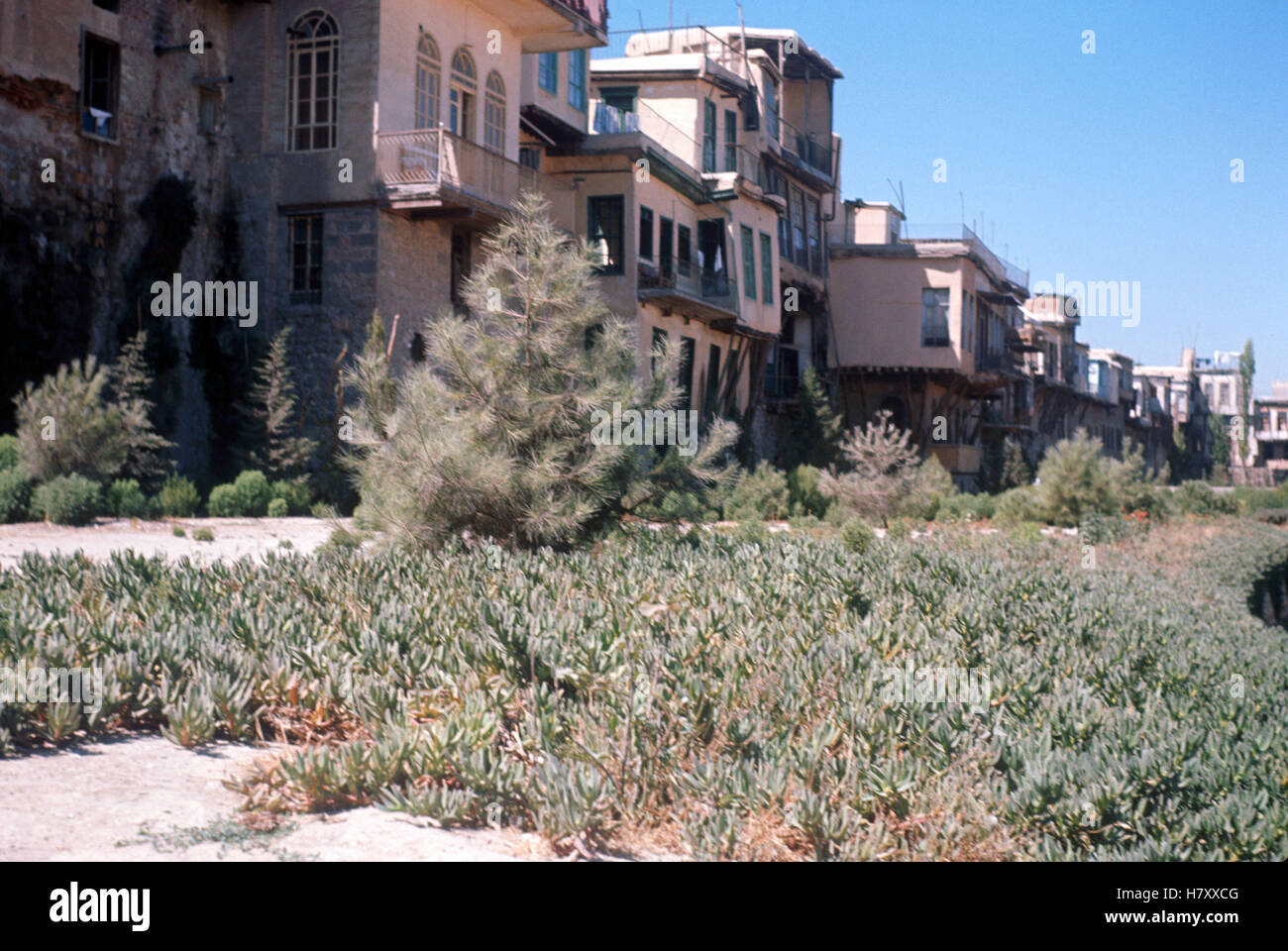 Living quarter in Damascus in August 1963. | Stock Photo - Alamy
