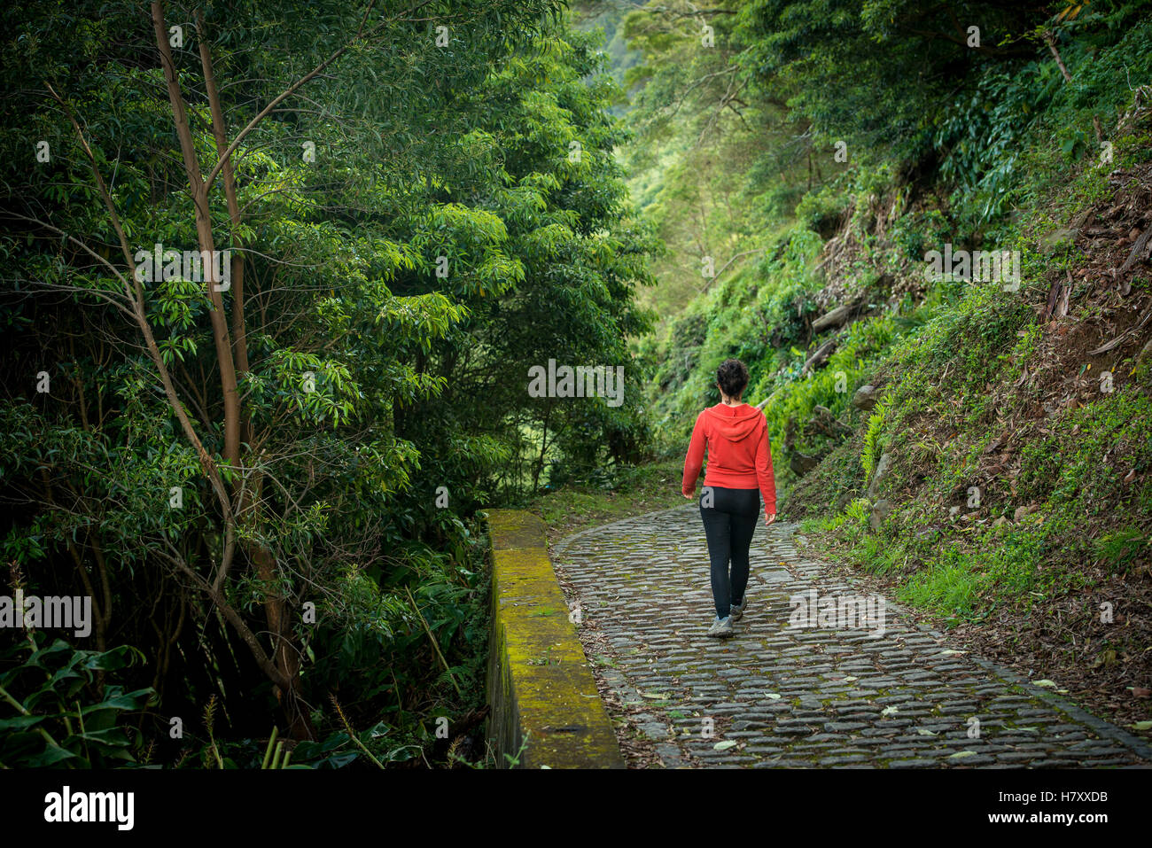 Young woman trekking in Faial da Terra; Sao Miguel, Azores, Portugal ...