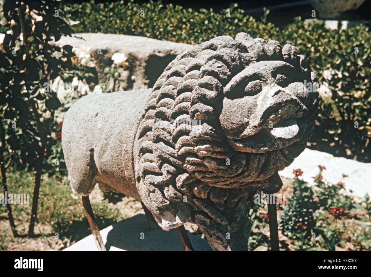 View of a statue of a Lion in the National Museum of Damascus in Syria ...