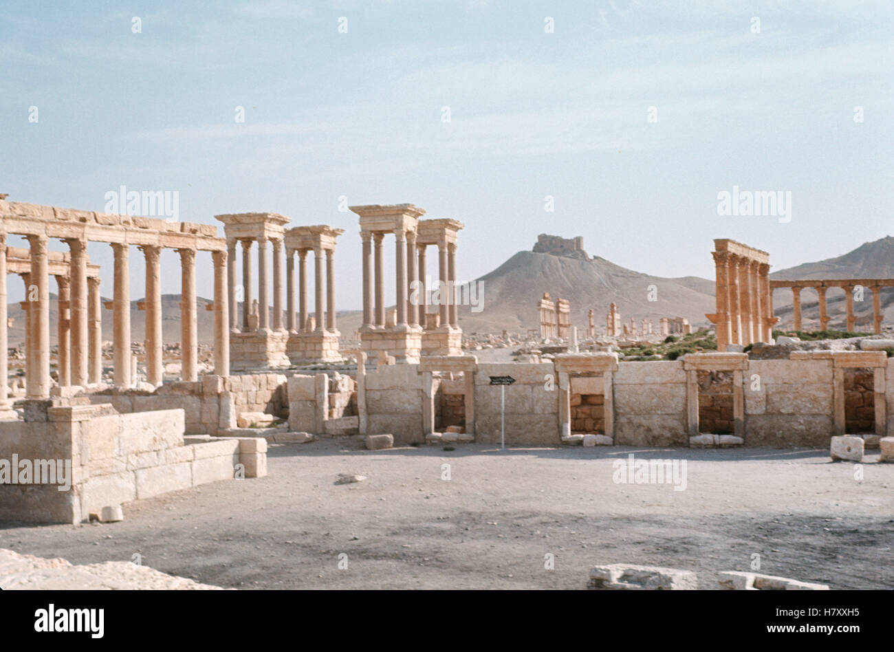 View of the archeological site at the ancient Syrian city of Palmyra ...