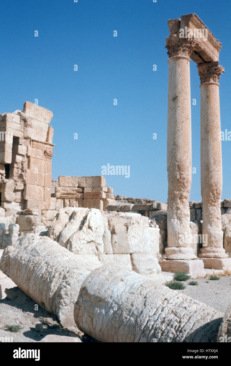 Ruins at the at the ancient Syrian city of Palmyra, Syria, September ...