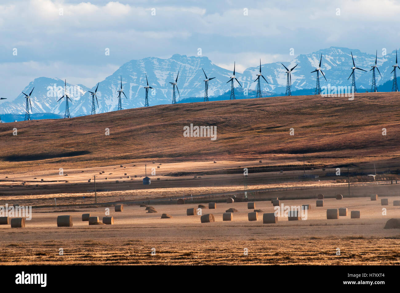 Wind turbines in a row with hay bales in the foreground and the ...