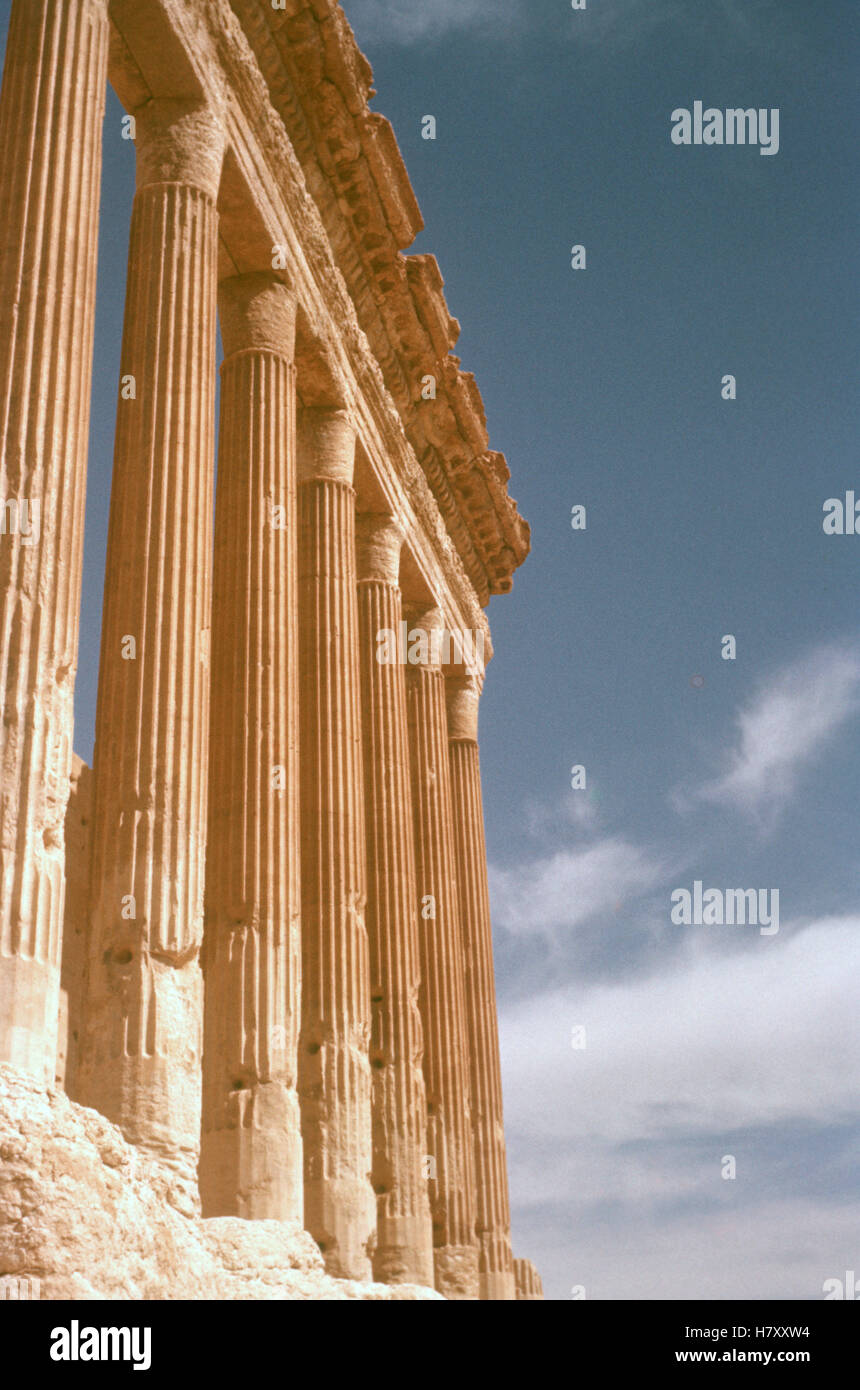 Columns at the ancient Syrian city of Palmyra, Syria, September 1974 ...