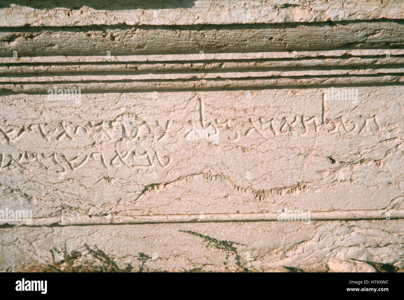 A pedestal with palmyrenic inscriptions at the ancient Syrian city of ...