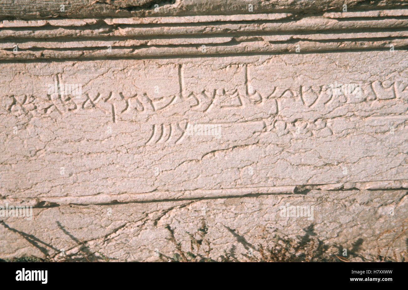 A pedestal with palmyrenic inscriptions at the ancient Syrian city of ...