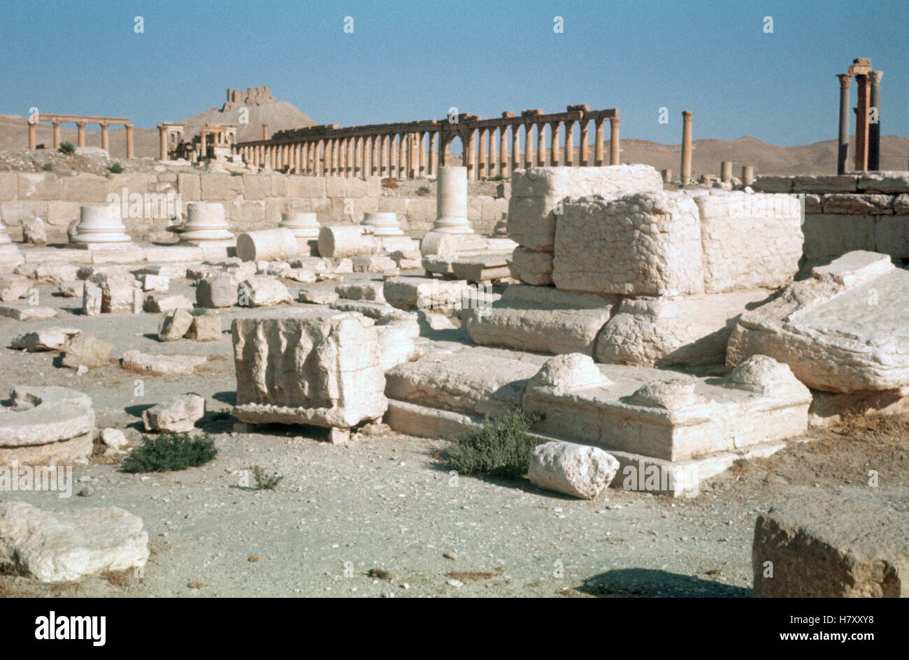 Ruins at the at the ancient Syrian city of Palmyra, Syria, September ...