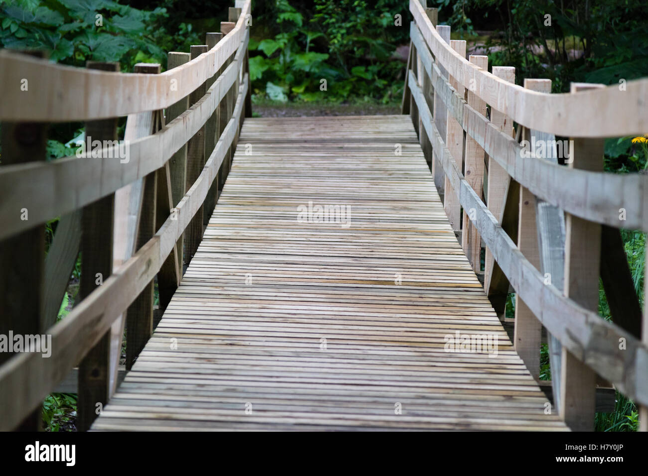 old wooden bridge walkway outdoors in forest Stock Photo - Alamy