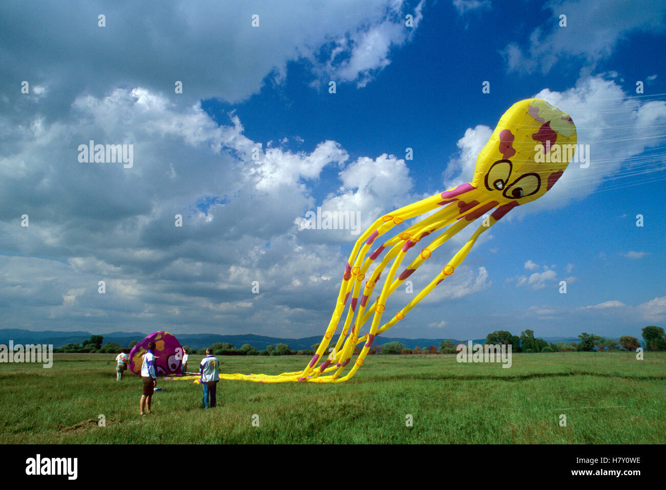 Huge octopus shaped kite flying at the international kites meeting ...
