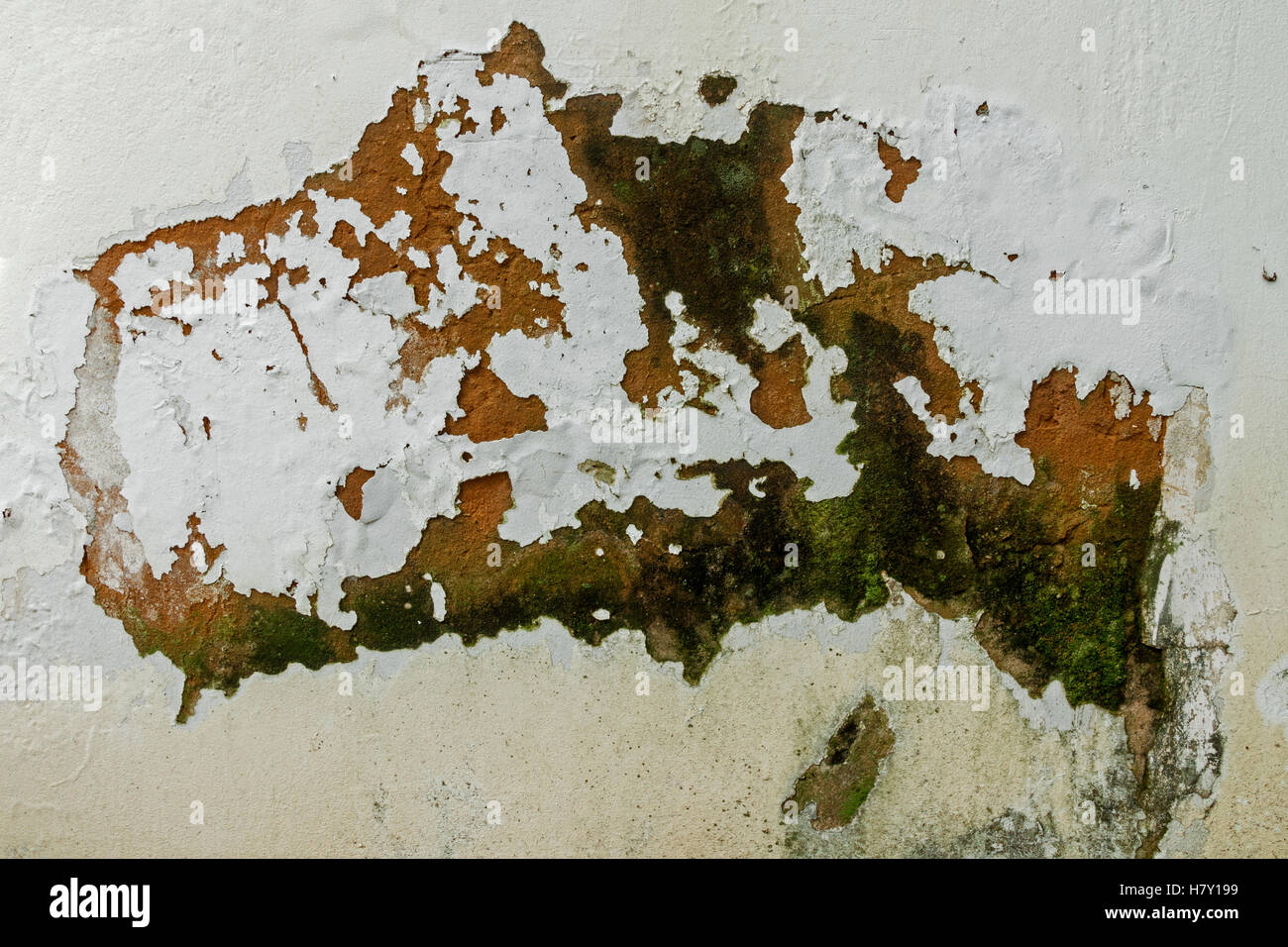 Rising Damp High Resolution Stock Photography and Images - Alamy