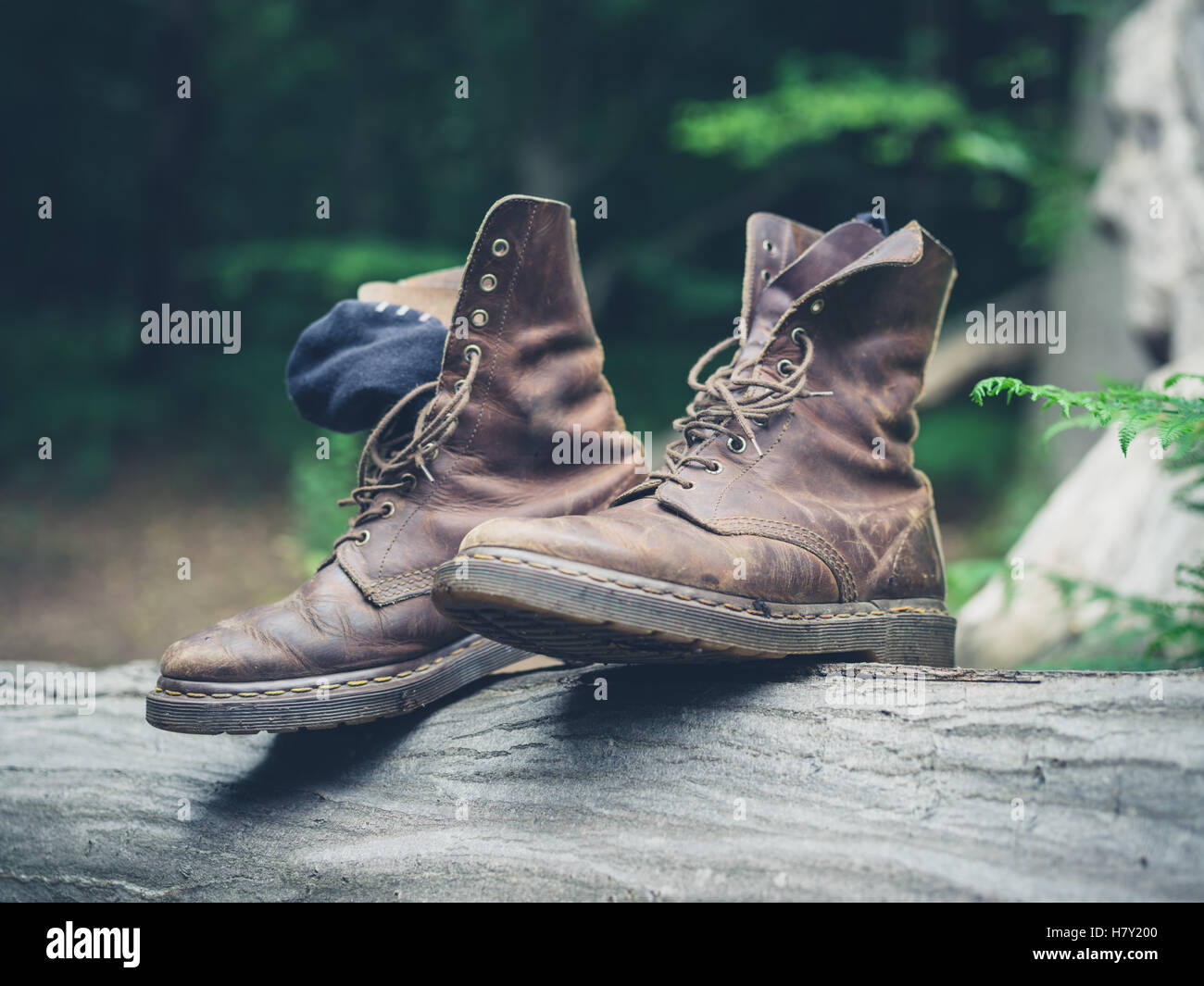 A pair of walking boots on a log in the forest Stock Photo - Alamy