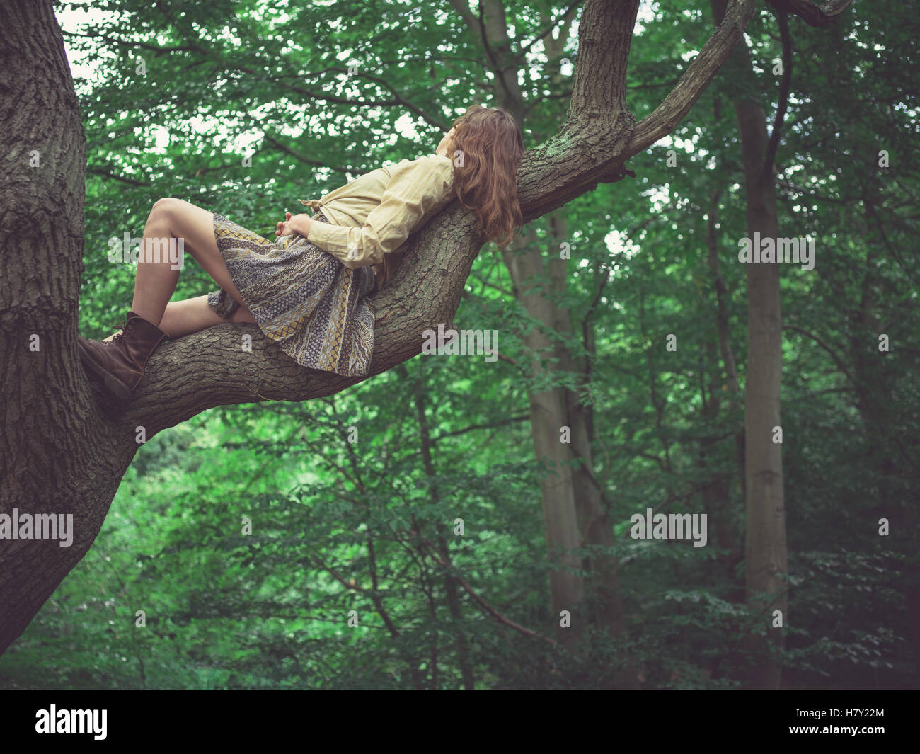 A young woman is lying on a branch of a tree in the forest Stock Photo ...