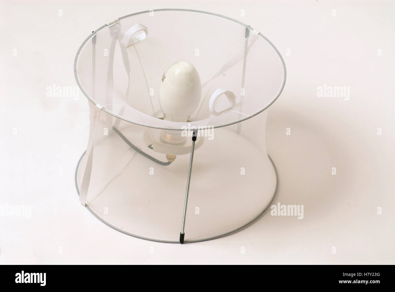 Moth trap hi-res stock photography and images - Alamy