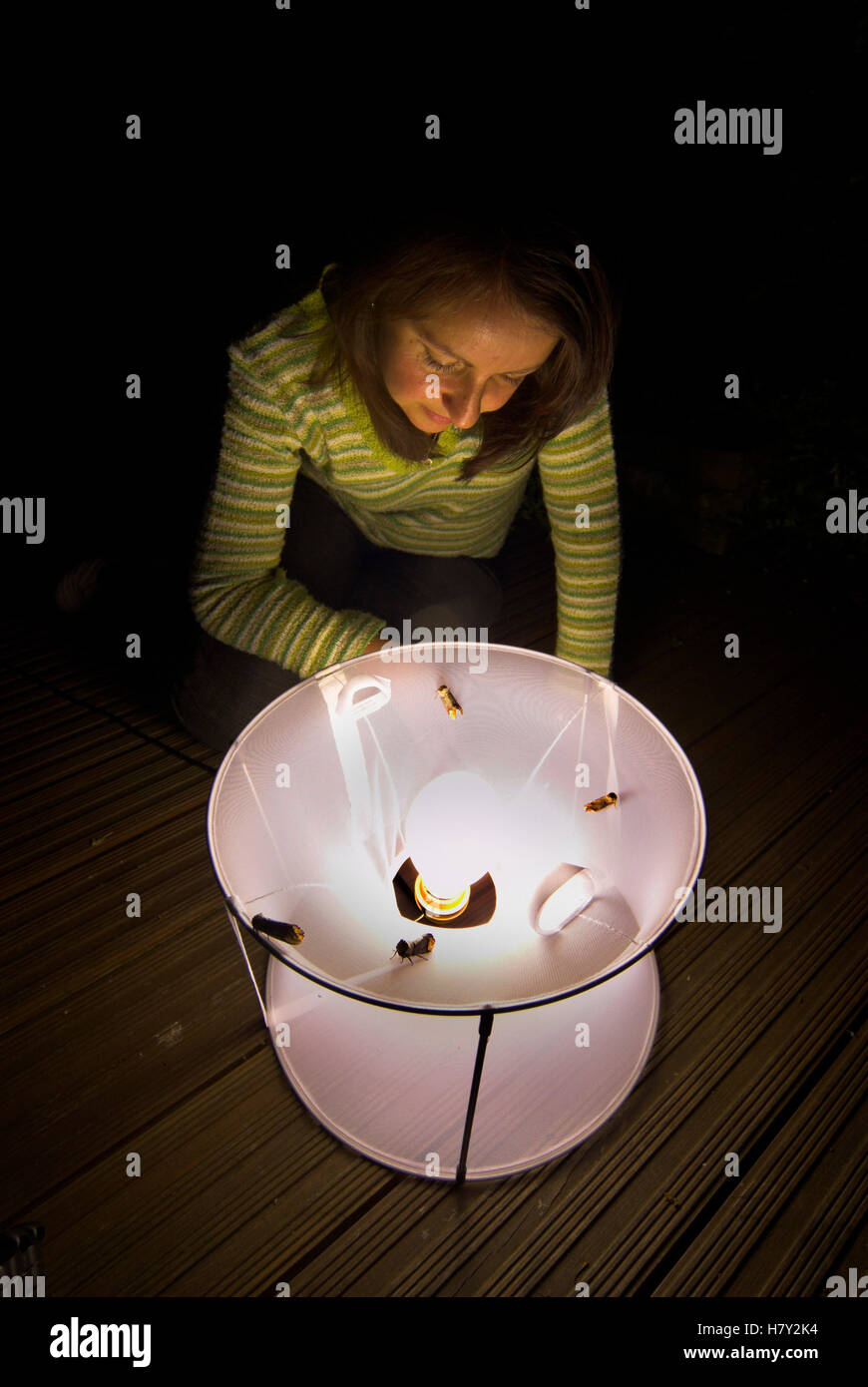 Moth trap hi-res stock photography and images - Alamy